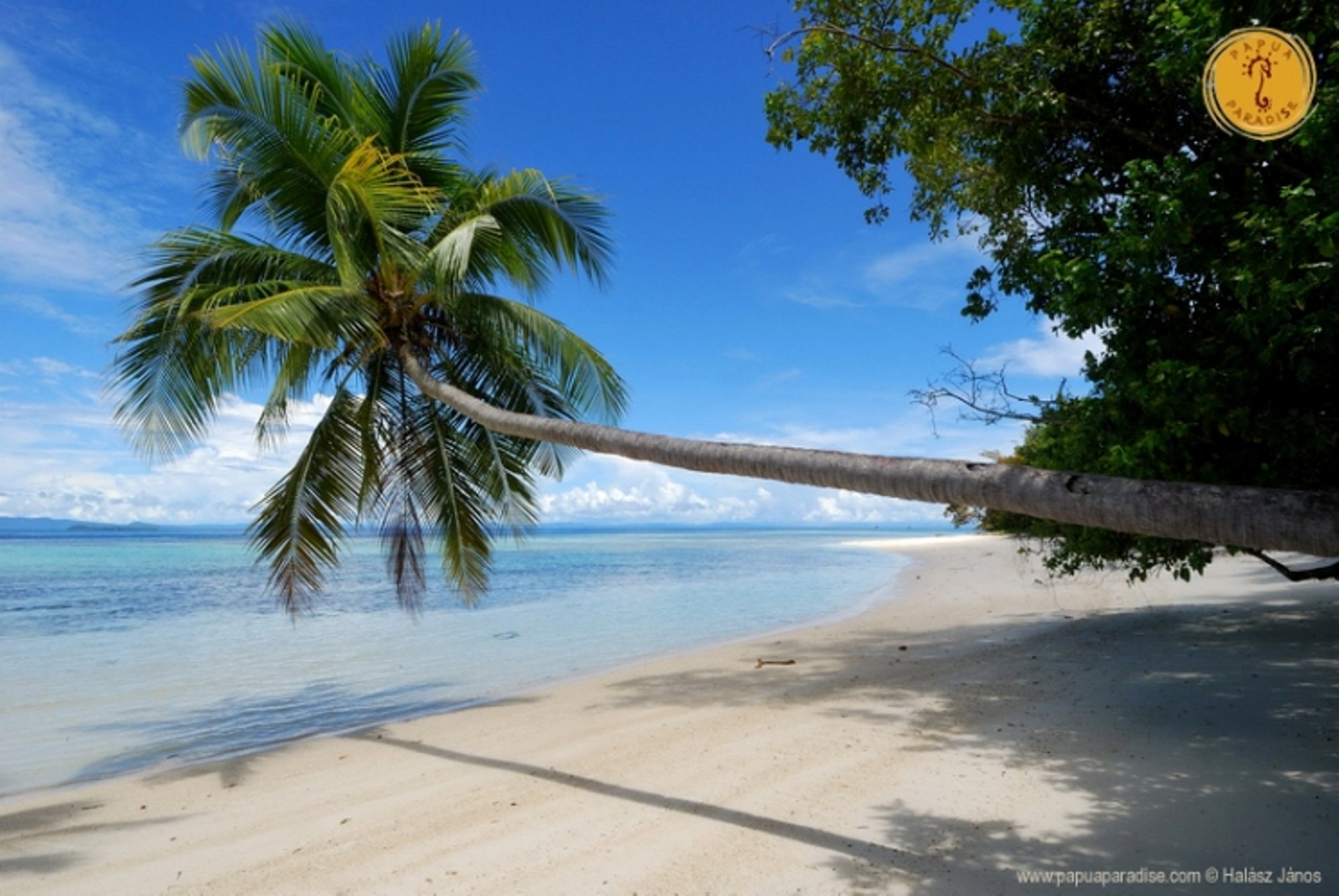 Papua Paradise Eco resort - Raja Ampat, Batanta island - accommodatie ...